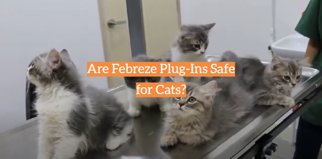 Are Febreze Plug-Ins Safe for Cats? - KittenWiki